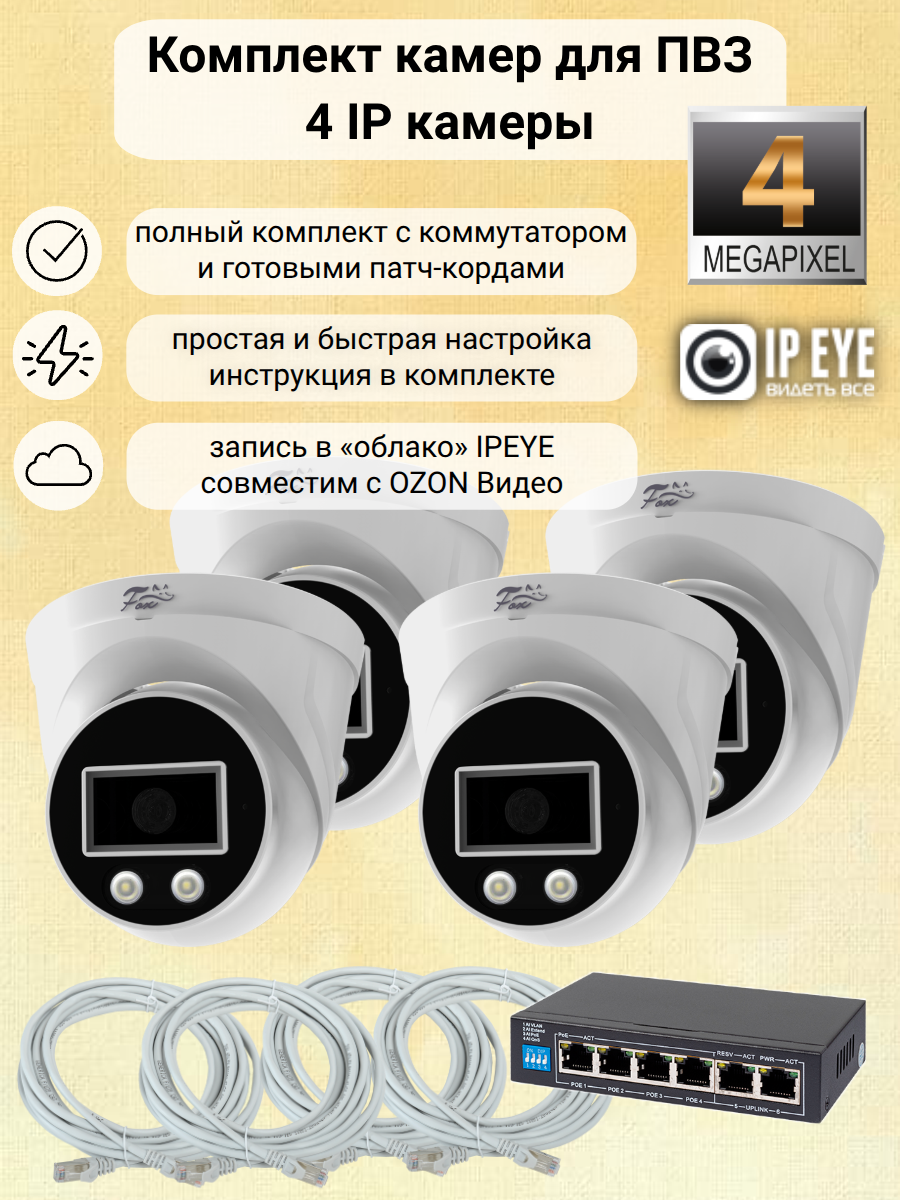 Комплект облачного видеонаблюдения для ПВЗ из 4 камер с сервисом IPEYE / разрешение 4 Мп / микрофон / PoE