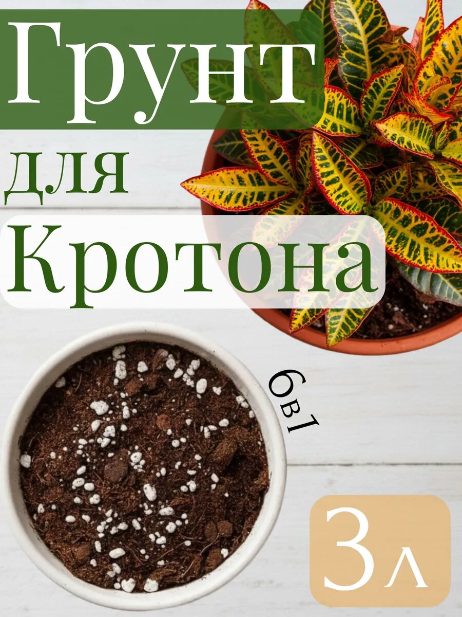 Готовый грунт для Кротона 3 литра