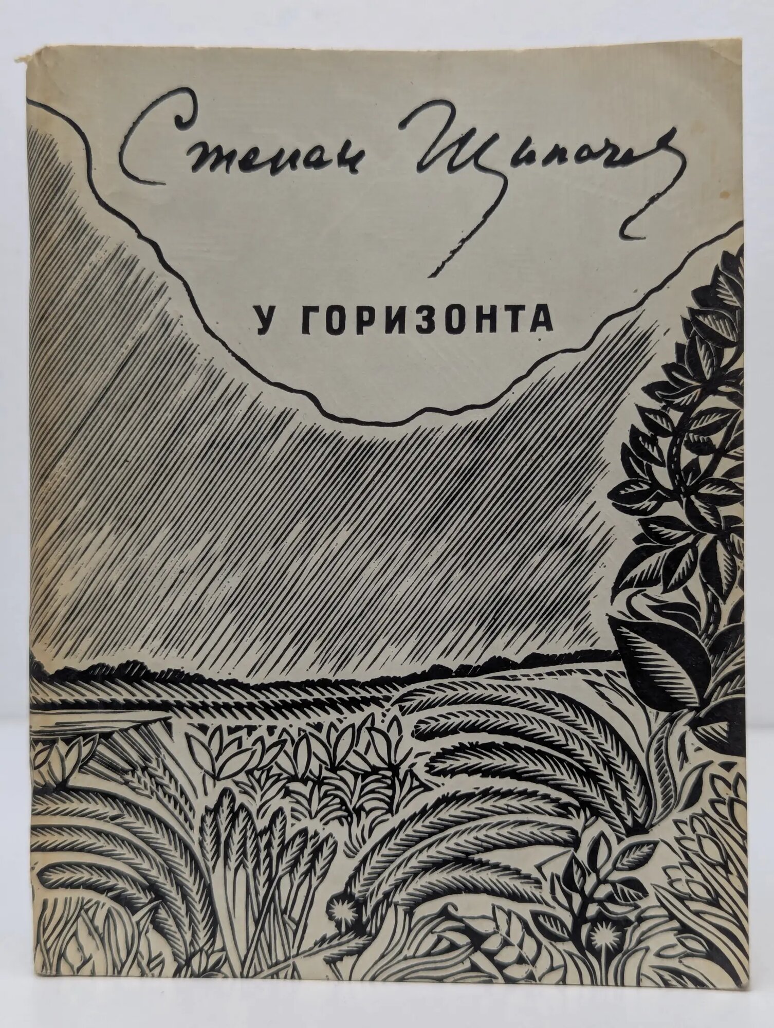 У горизонта Щипачев Степан Петрович 1982