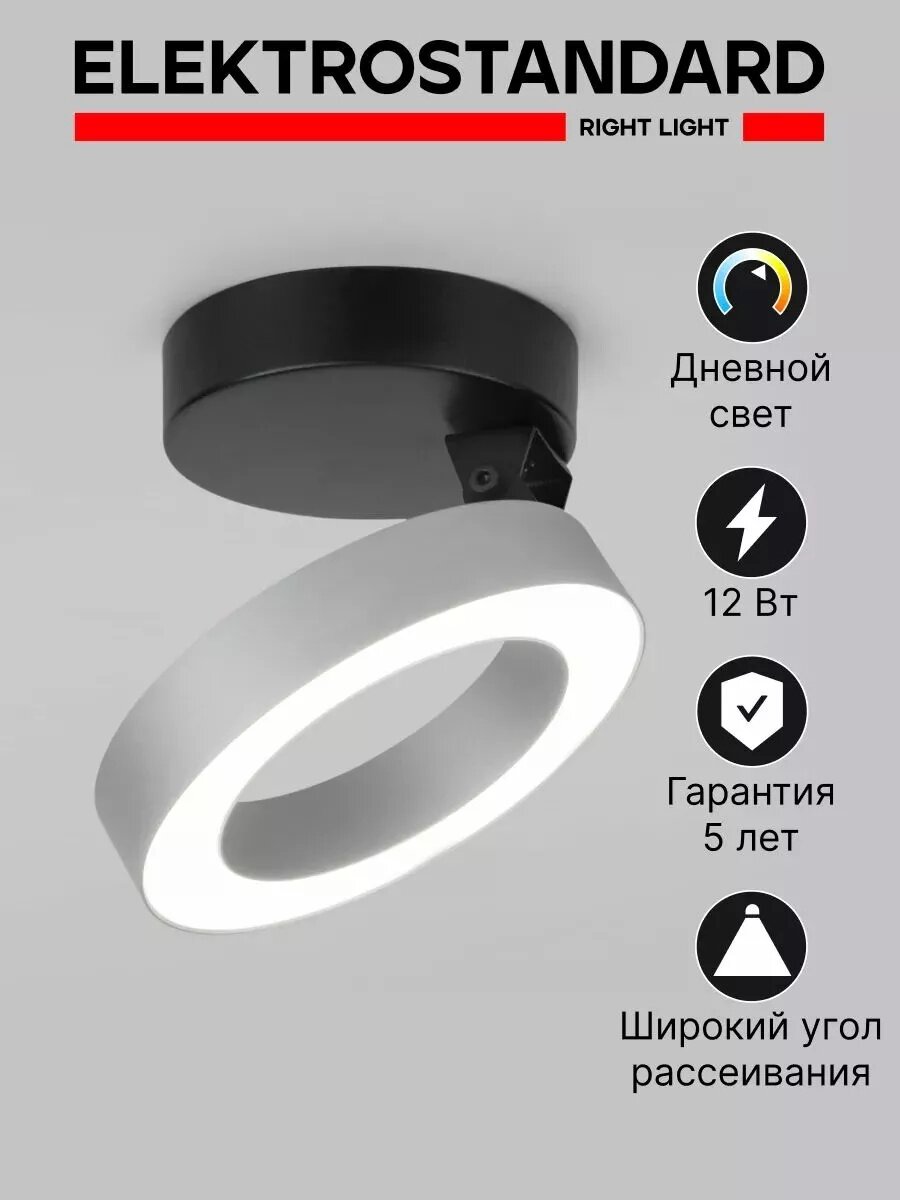 Спот / Накладной светодиодный светильник с поворотным механизмом Elektrostandard Spila 25105/LED, 4200 К, 12 Вт, серебро