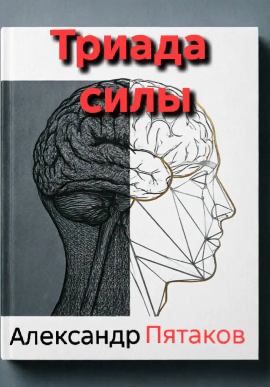 Триада силы [Цифровая книга]