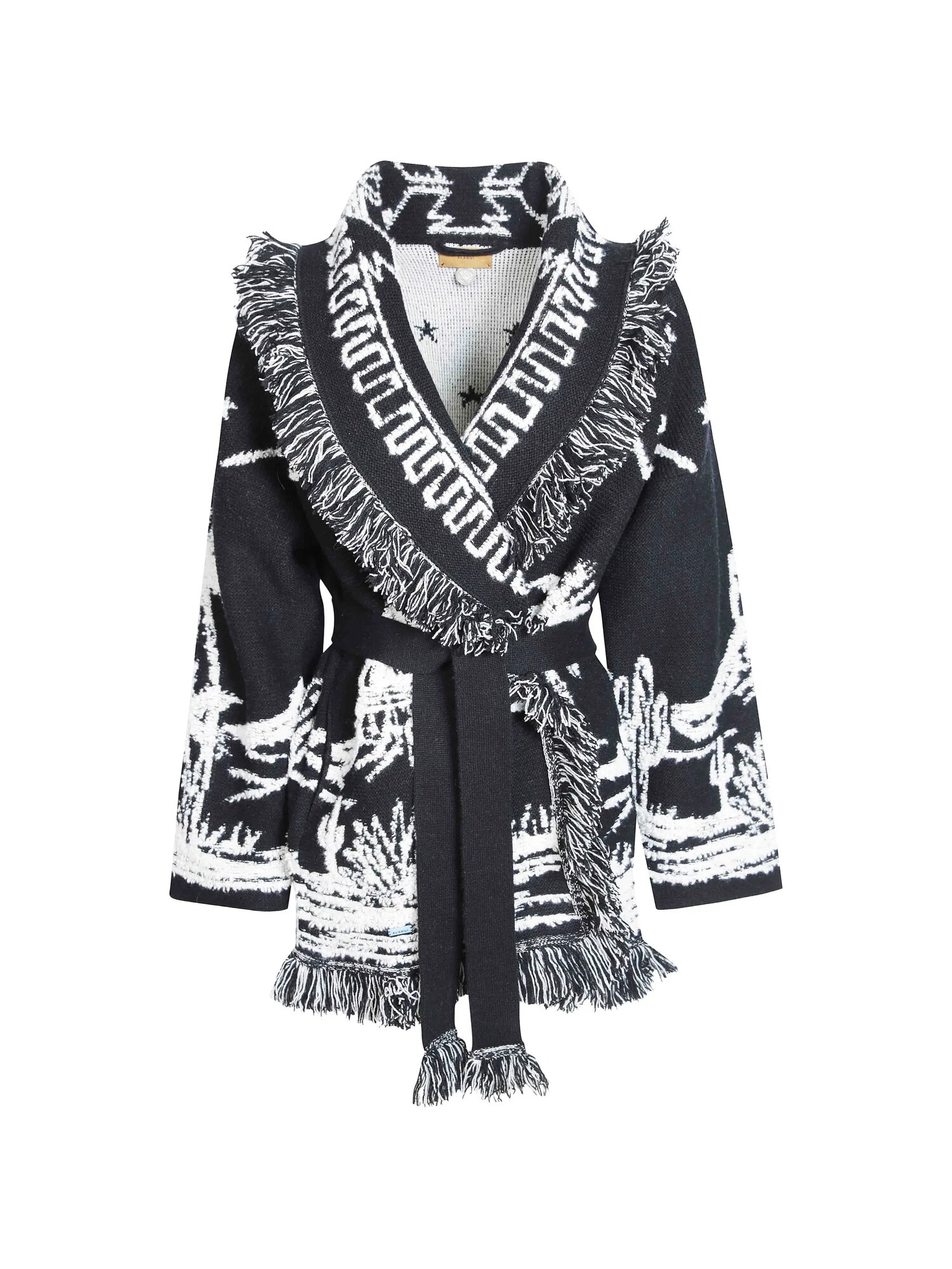 Кардиган ALANUI Canyon Spirit fringed cardigan