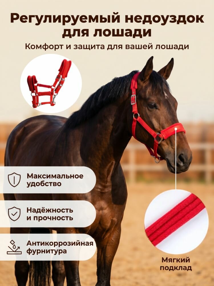 Недоуздок для лошади, флисовый недоуздок с мягкой подкладкой