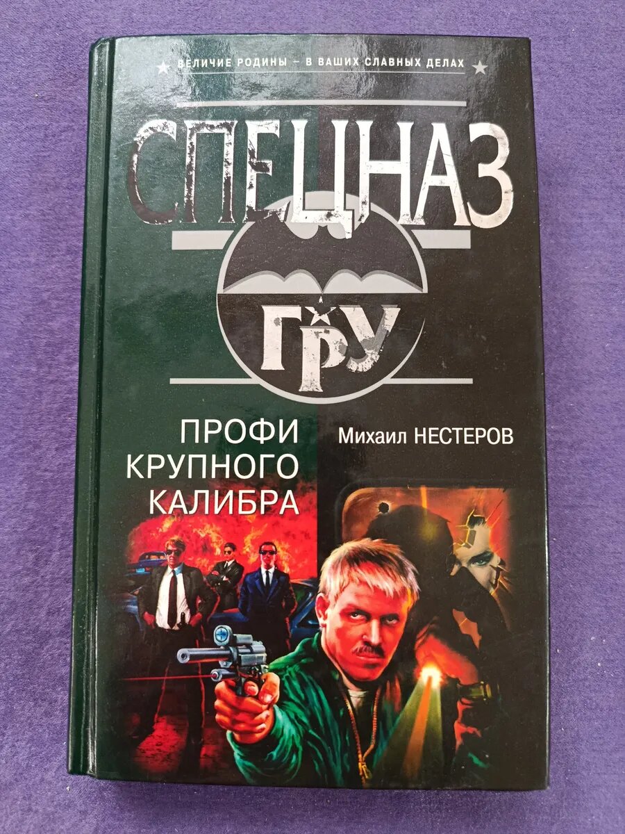 Книга Михаил Нестеров — Профи крупного калибра