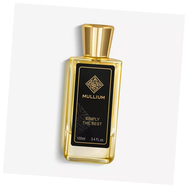 Mullium Simply The Best For Men духи мужские 100 мл - Муллиум Симпли Зе Бест