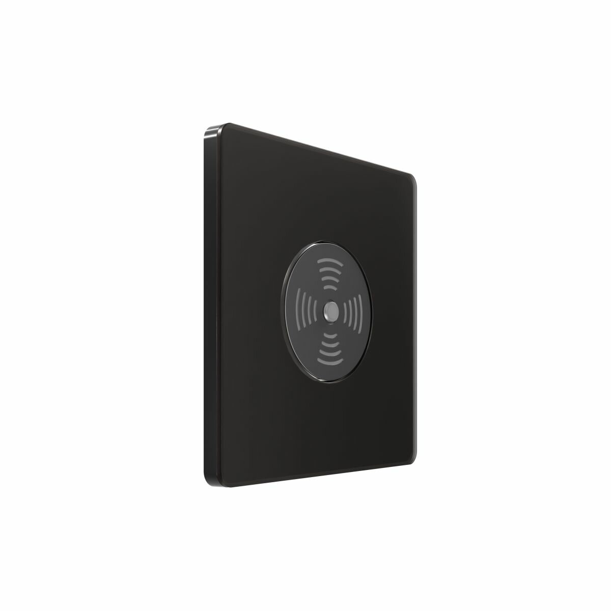 Выключатель звуковой с выдерж. времени 100Вт, Полярная ночь Systeme Infinity FSE001094