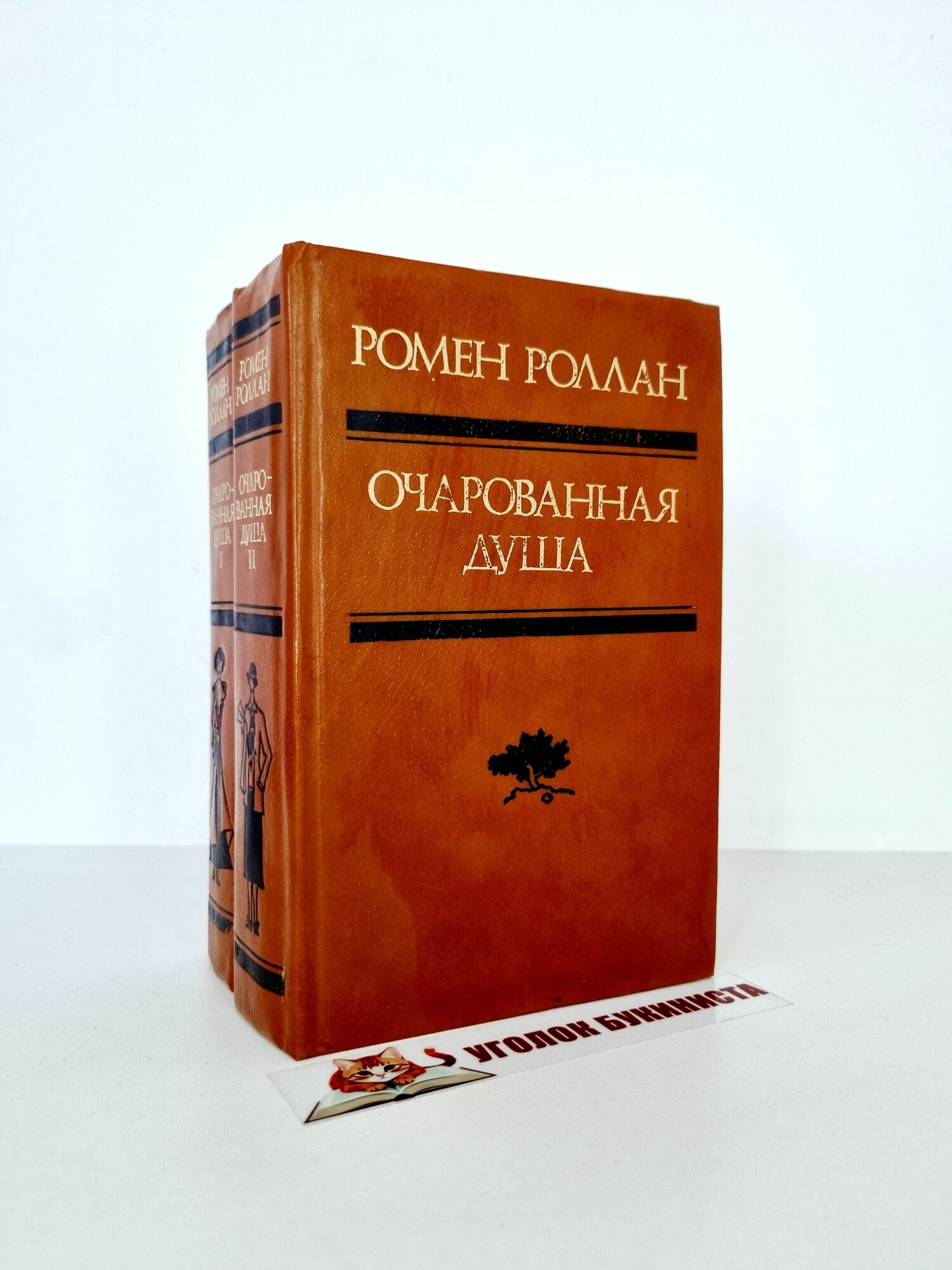 Очарованная душа (Комплект из 2 книг)