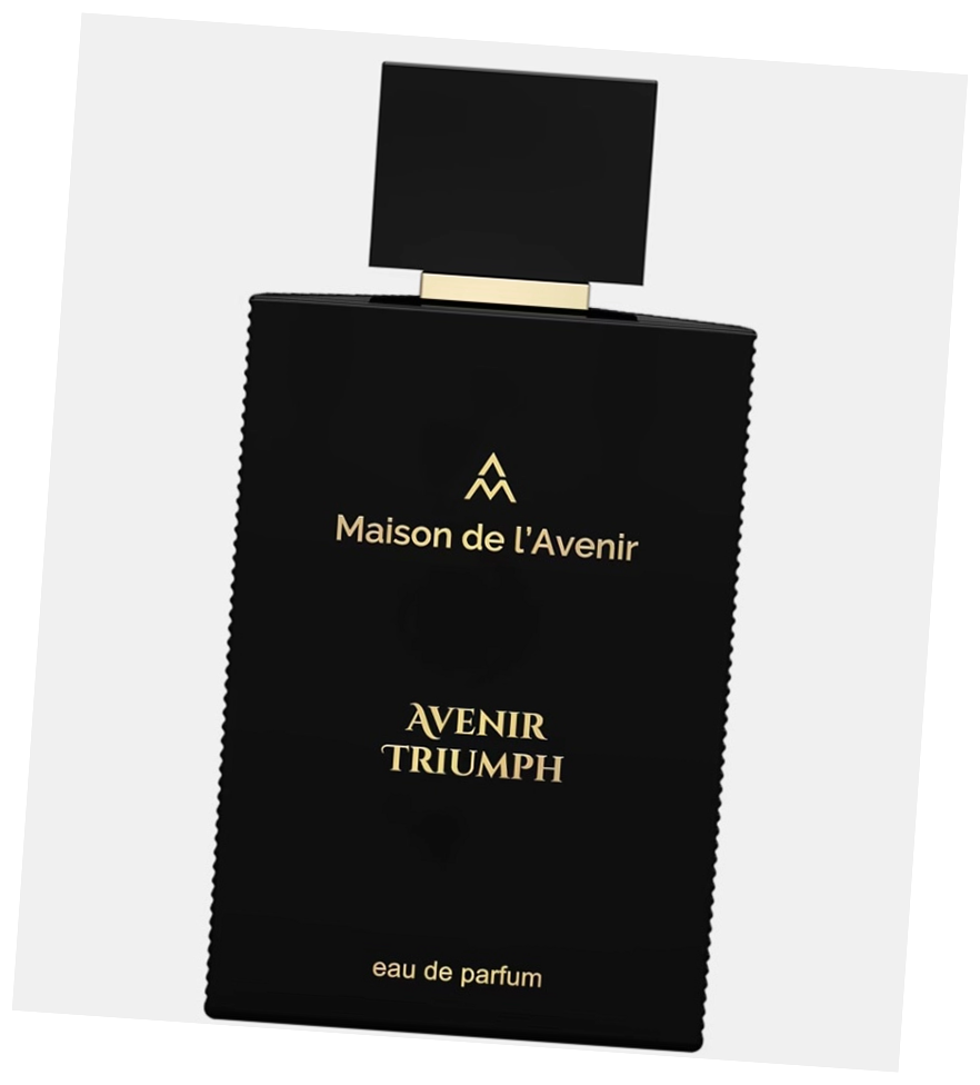 Парфюмерная вода Maison De L Avenir Avenir Triumph 100 мл для мужчин и женщин / Авенир Триумф