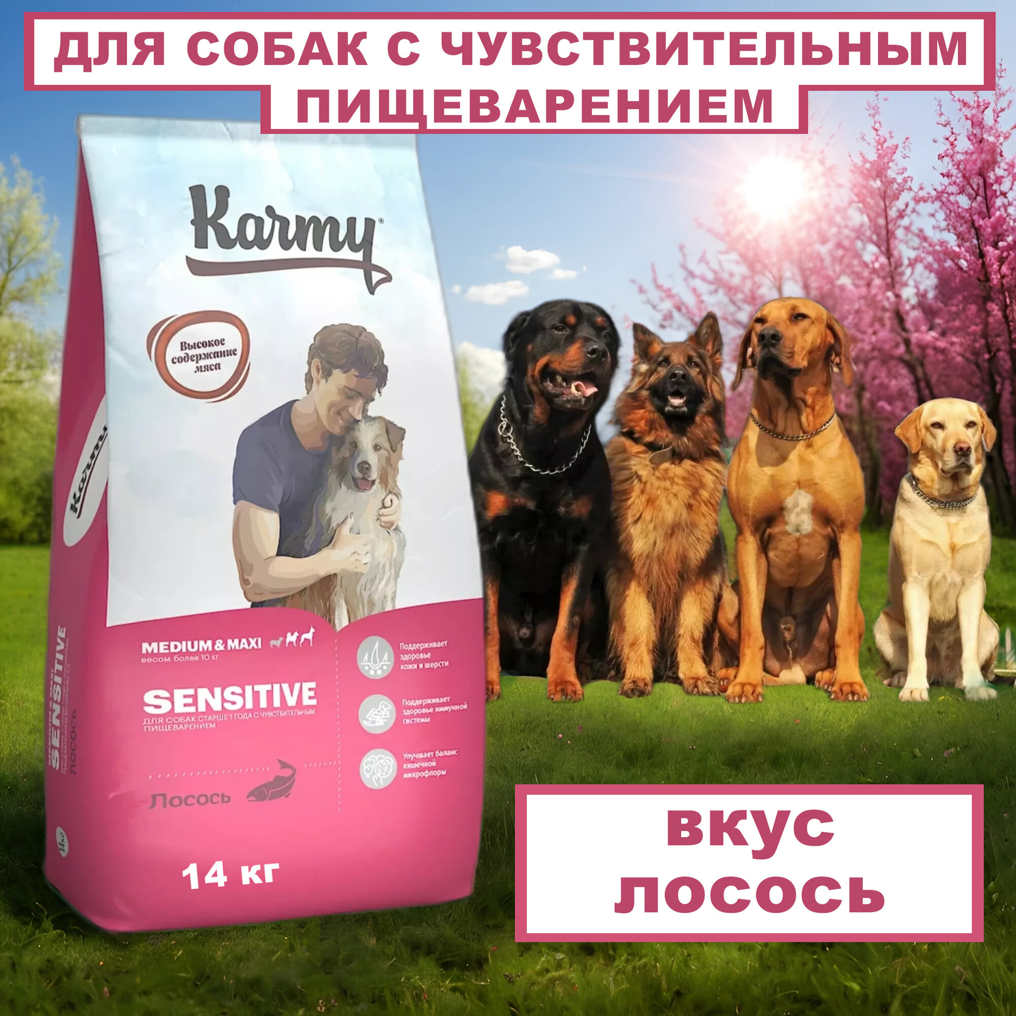 Корм сухой для собак средних и крупных пород Karmy с чувствительным пищеварением, лосось 14кг