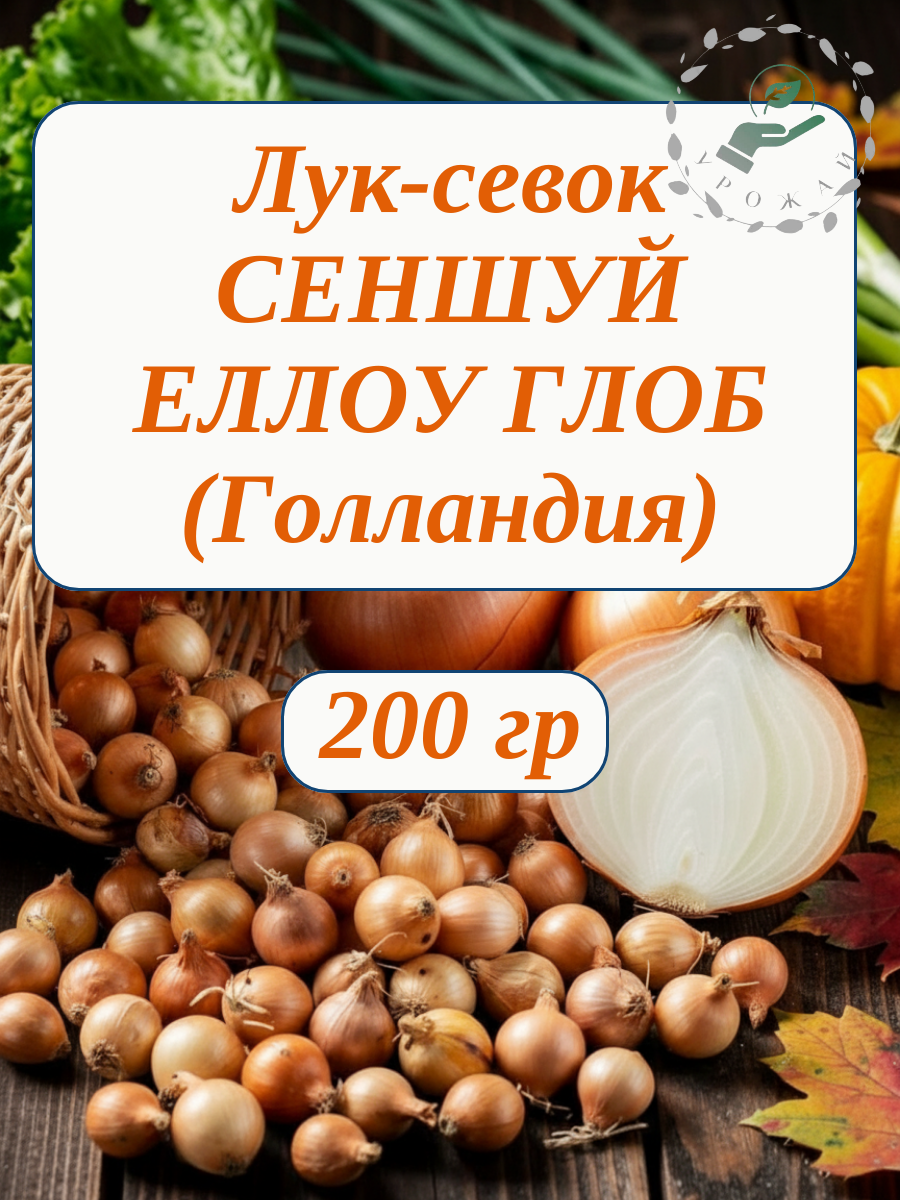 Лук-севок "сеншуй еллоу глоб" (Голландия) Озимый 200 гр на посадку осенью