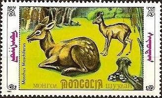 (1990-024) Марка Монголия "С детенышем" Фауна Монголии. Кабарга III