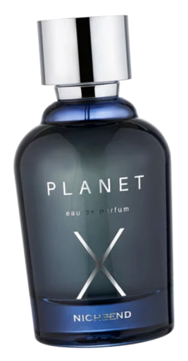 Парфюмерная вода Ничинд Планета Икс 100 мл унисекс - Nicheend Planet X