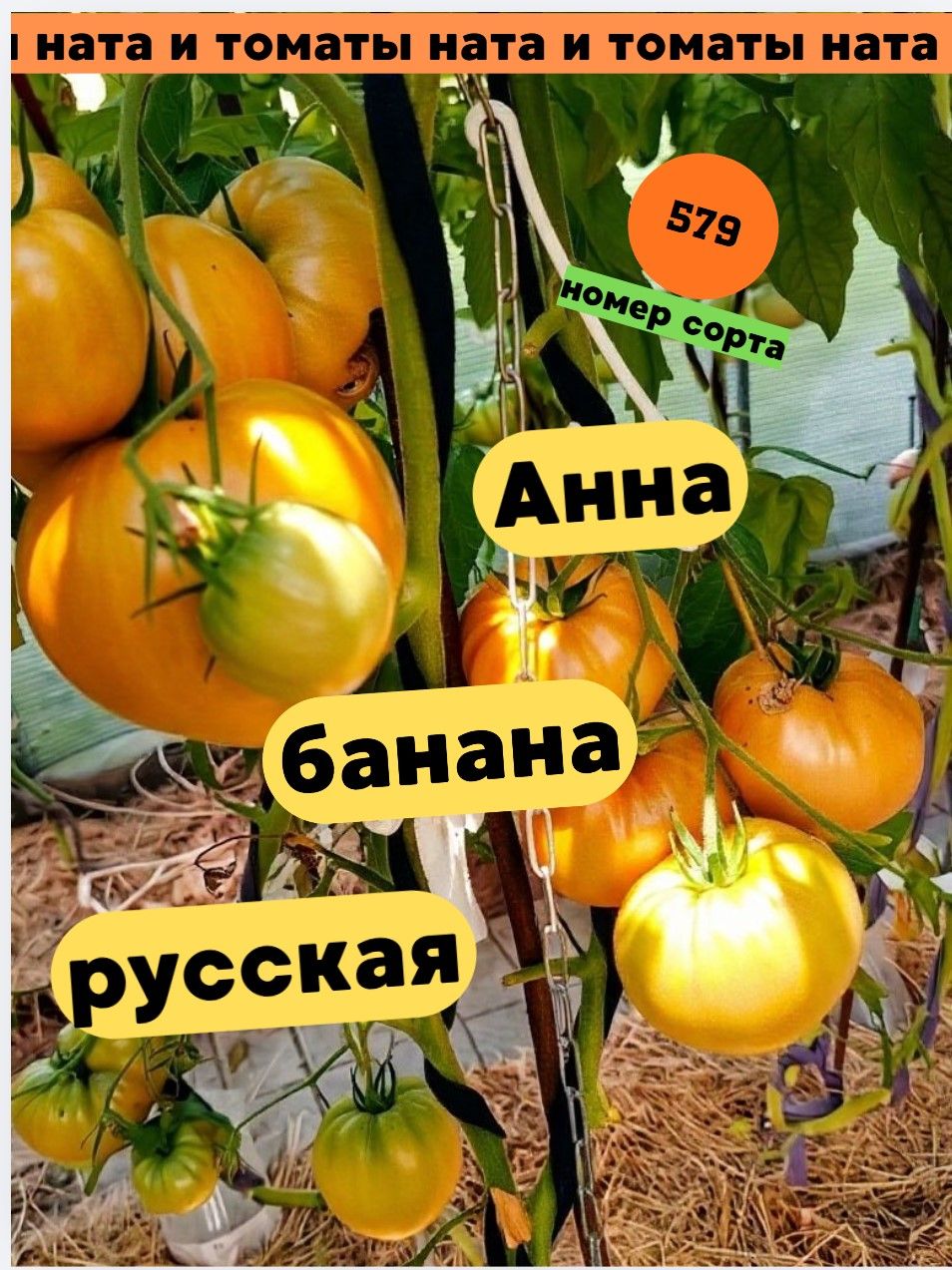 Семена томата Анна Банана русская, Коллекционный сорт 10 шт