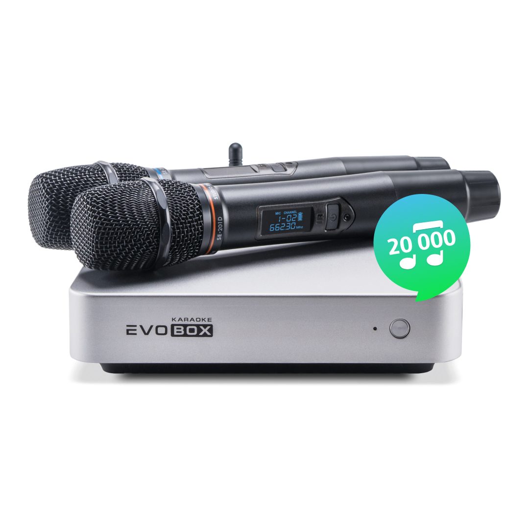 Караоке-система для дома EVOBOX Classic Silver с микрофонами SE 201D