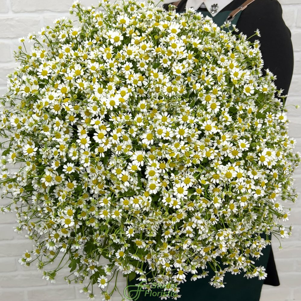 Букет ромашек STUDIO FLORISTIC "Солнечная поляна", 75 шт, высота 50 см, белый