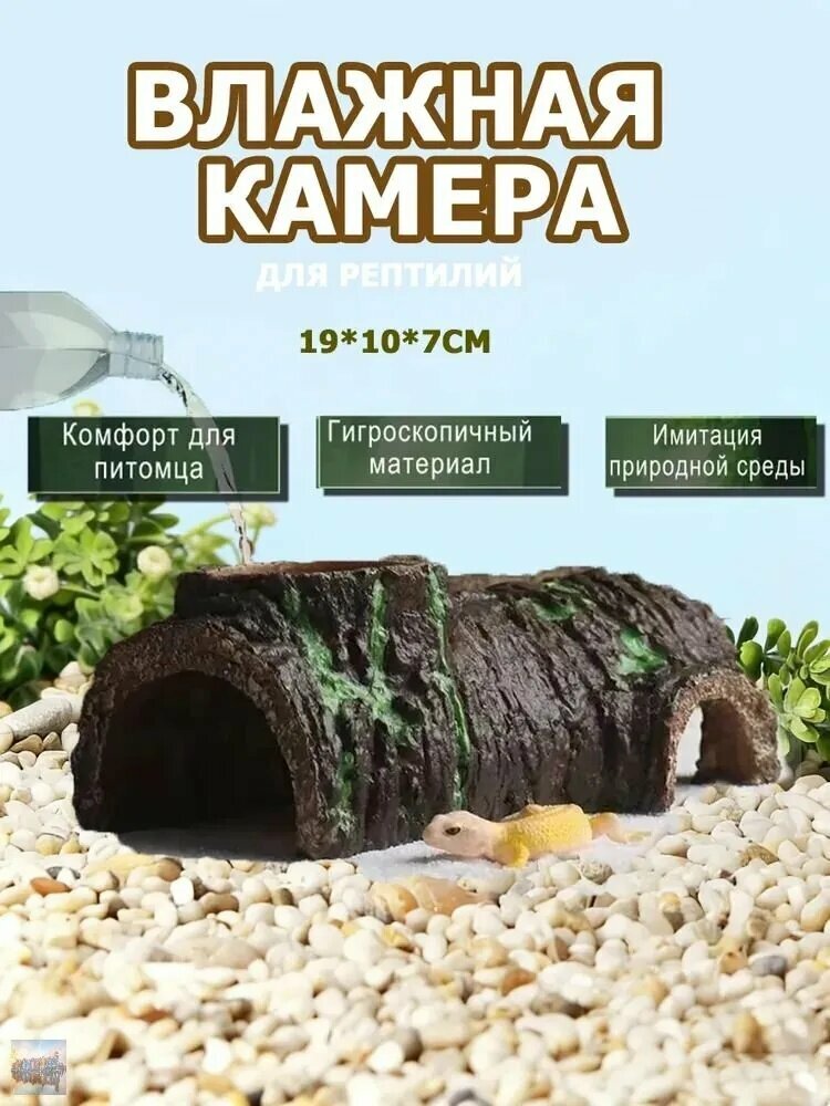 Влажная камера для рептилий /укрытие для рептилий, декор для террариума
