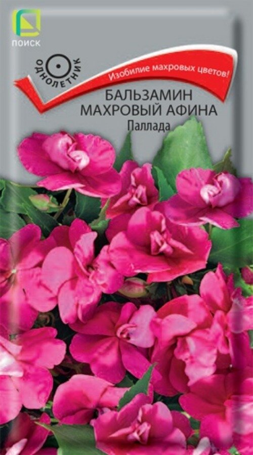 Семена бальзамина поиск Афина Паллада, махровый, однолетний, 5 шт
