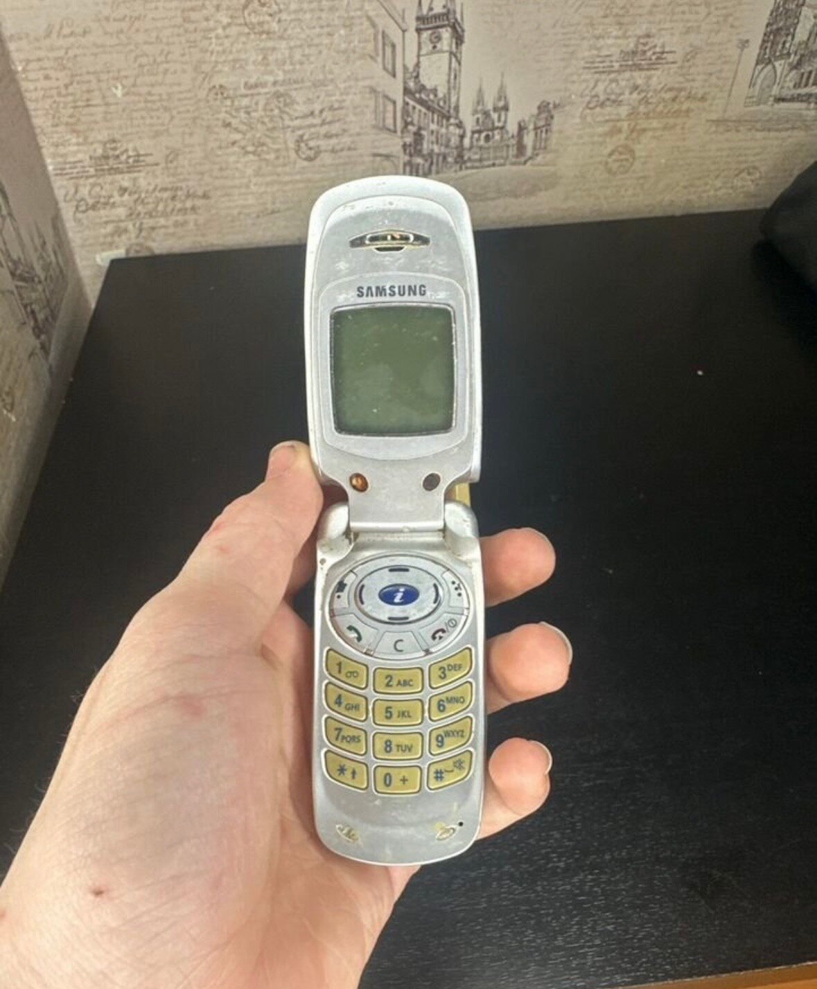 Samsung SGH-A800