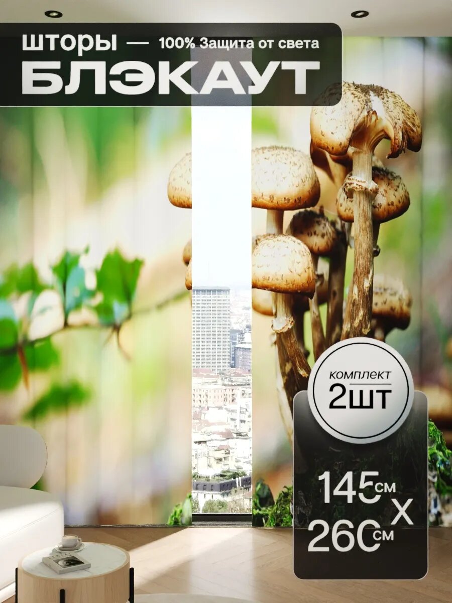 Шторы блэкаут 145x260 см 2 шт на окна плотные комплект