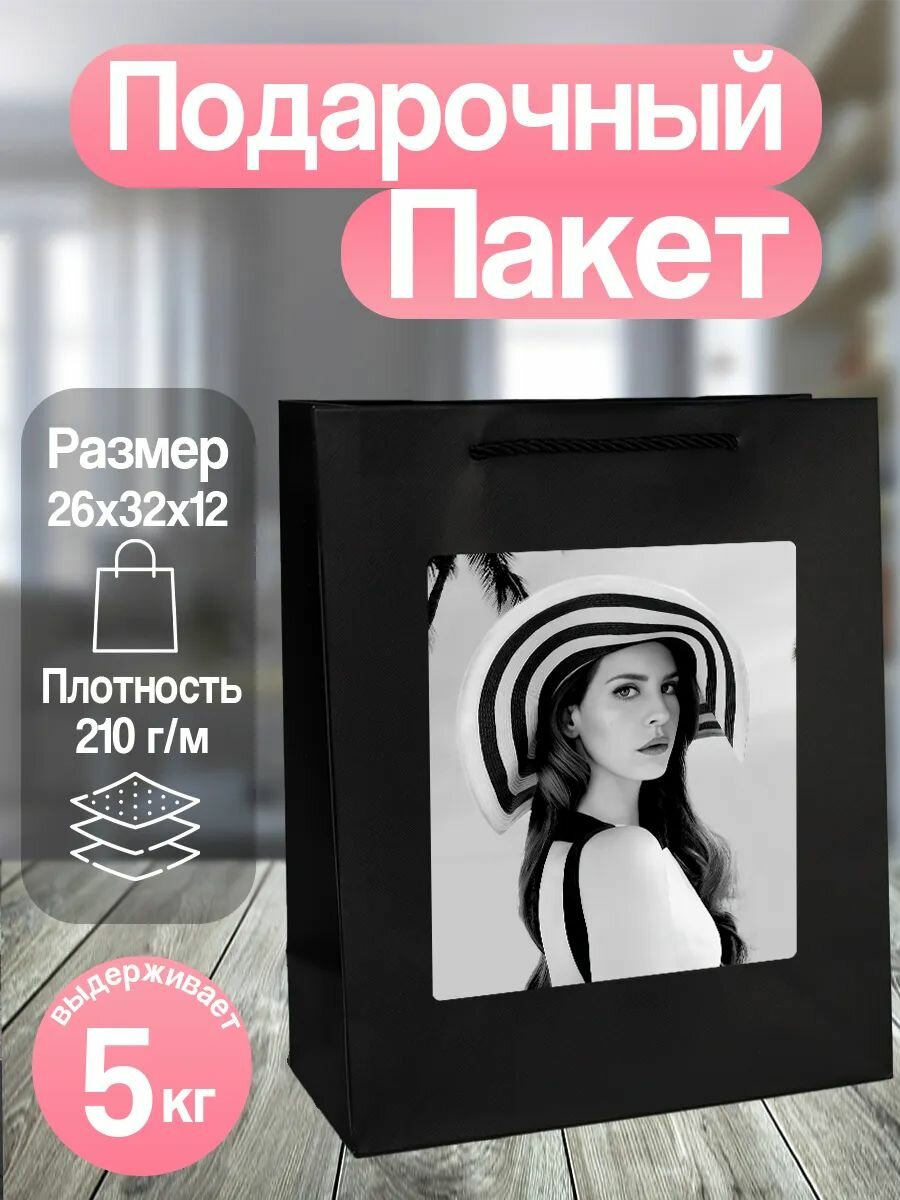 Пакет подарочный Лана Дель Рей, упаковка для подарка, 26х31 см