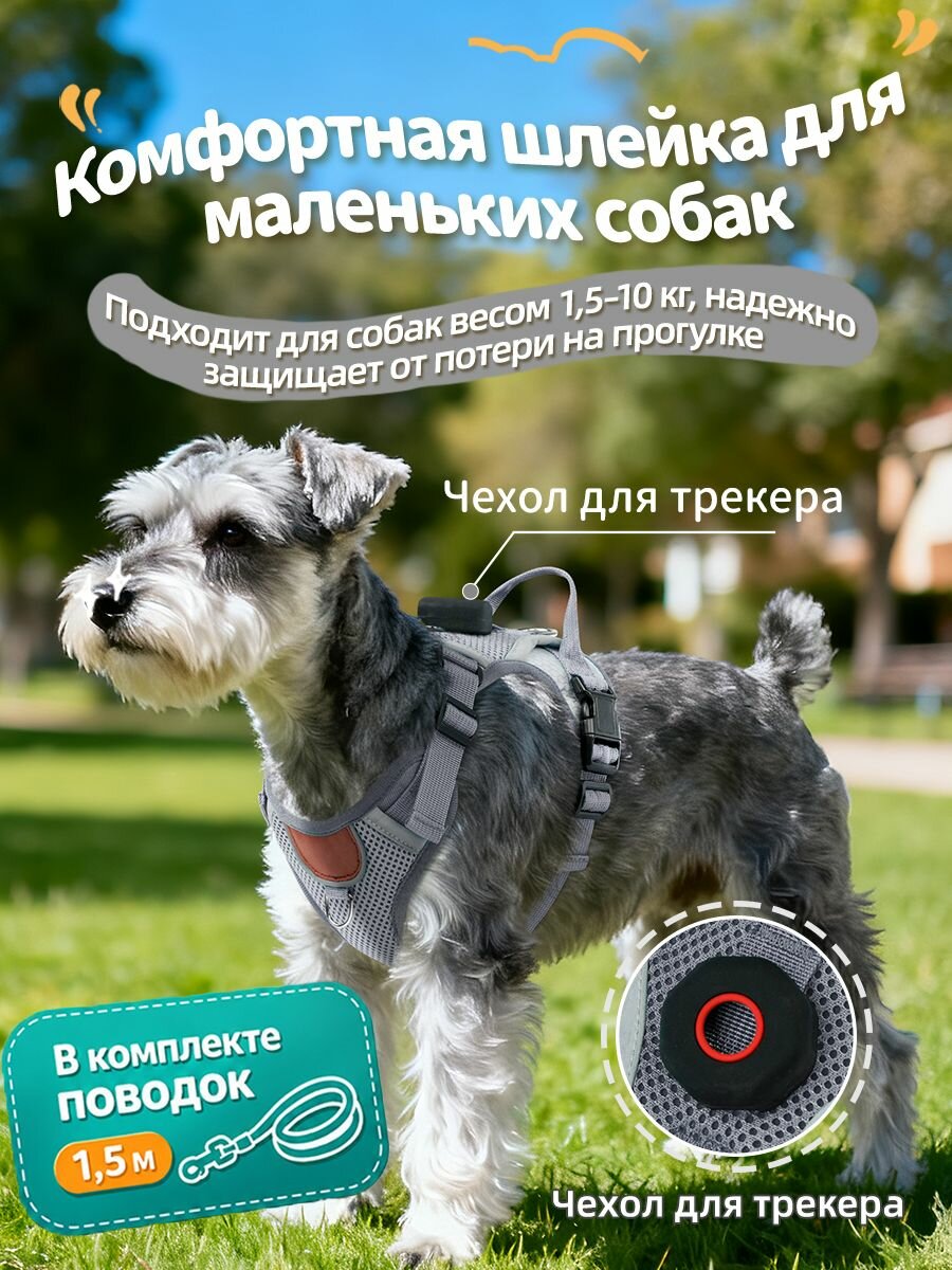 Шлейка для собак мелких пород с карманом для AirTag, анатомическая светоотражающая шлейка-жилет для щенков, с поводком