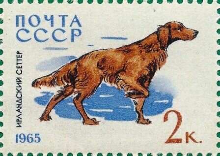 1965-010 Марка СССР Ирландский сеттер Служебные и охотничьи собаки III