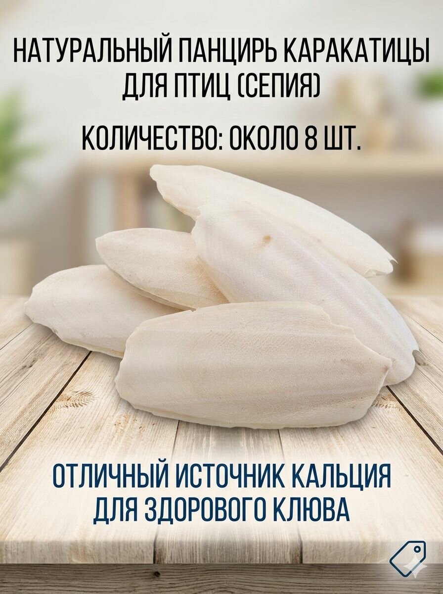 Сепия (каракатица) для птиц: природный источник кальция, минеральный камень