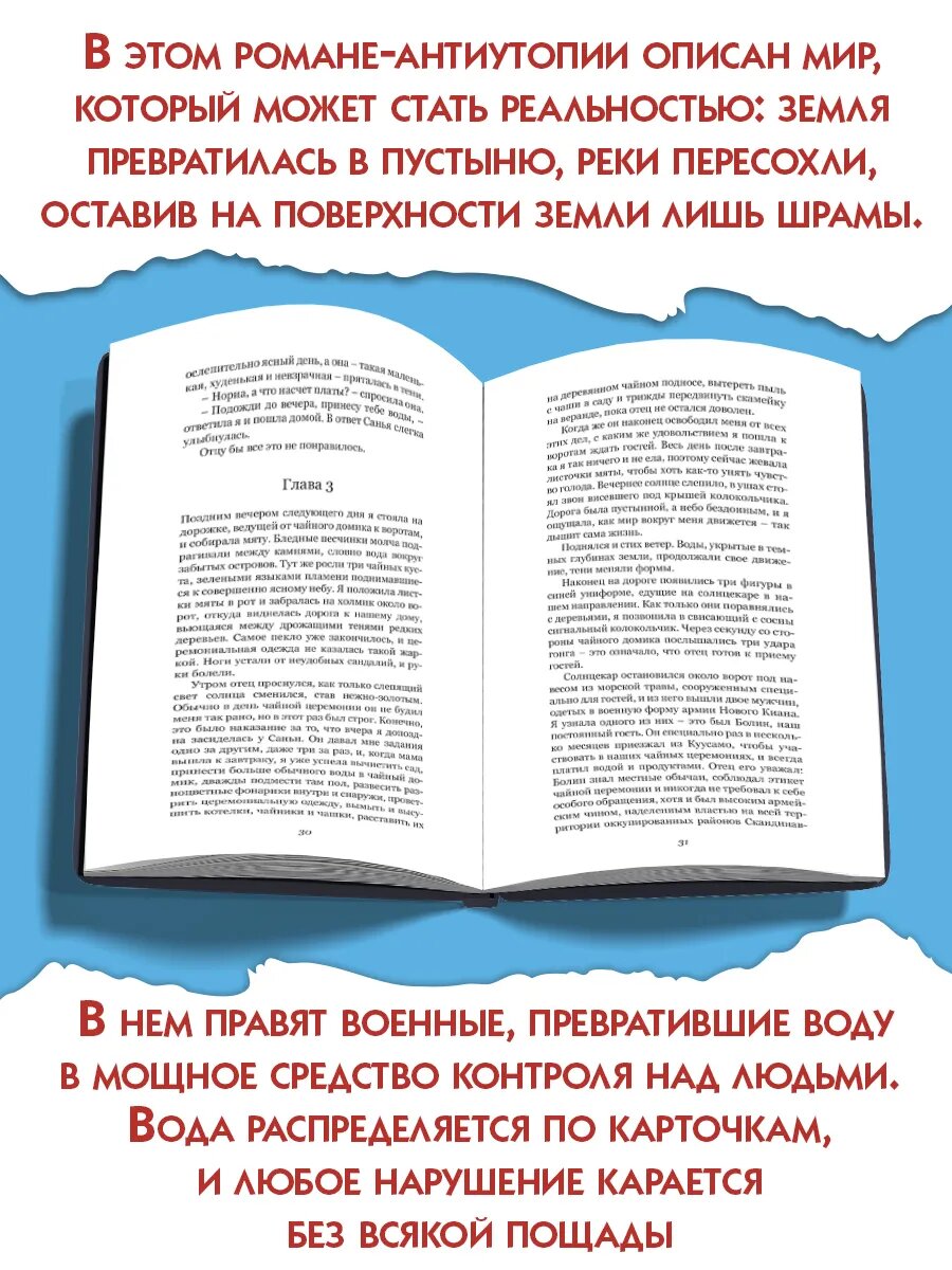 Дневник чайного мастера — фото 1