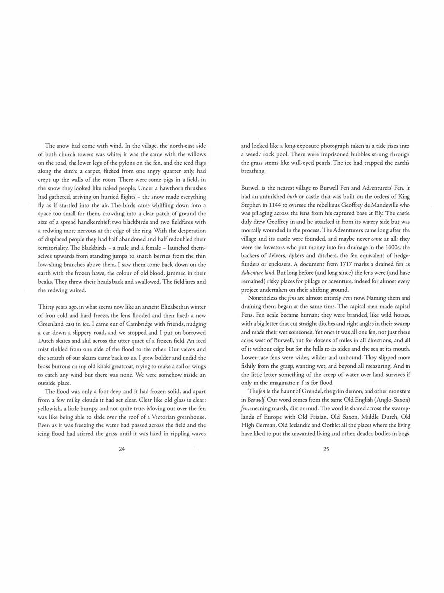 Four Fields / Книга на Английском — фото 1