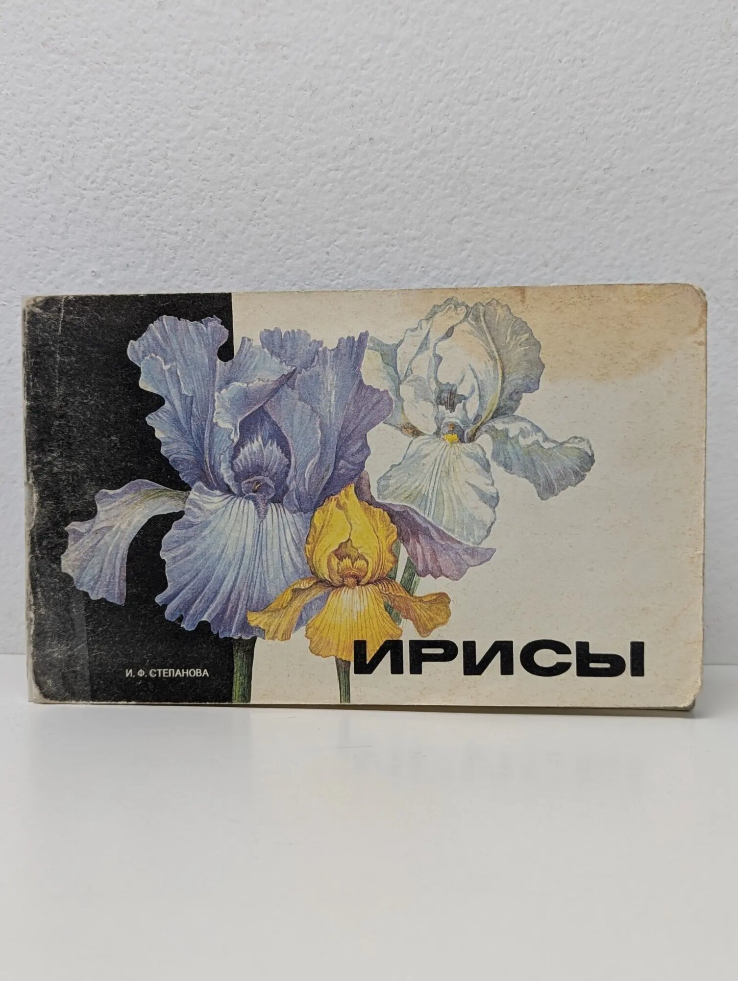 Ирисы. Альбом Степанова Ирина Федоровна 1992
