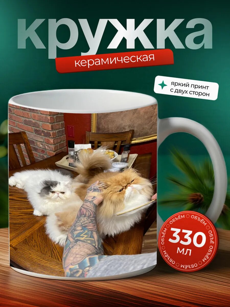 Кружка Иранский персидский кот 30,