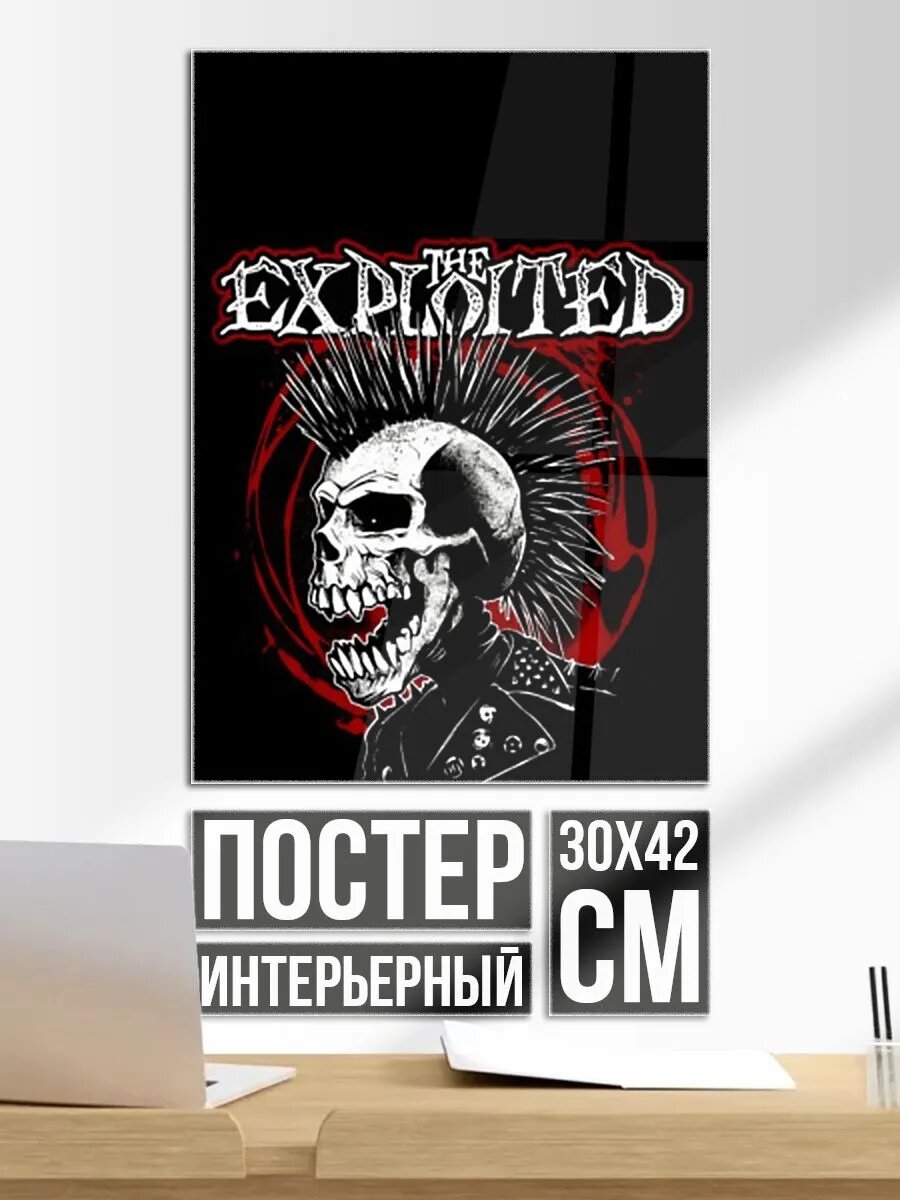 Постер на стену Exploited - skull