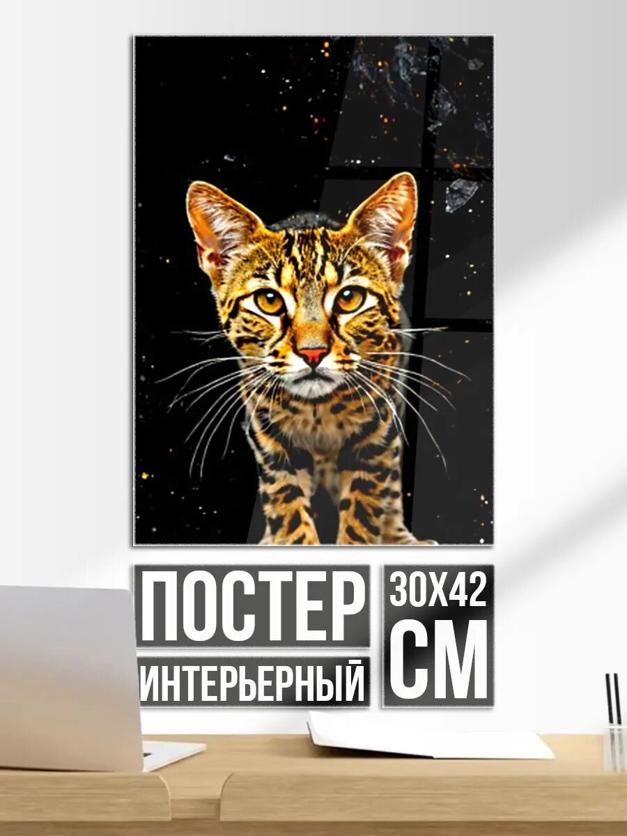 Постер на стену Кошка саванна на черном