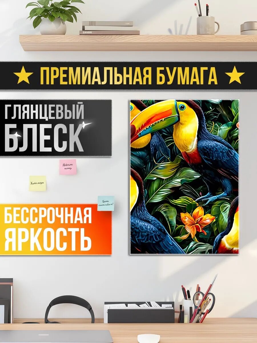 Постер на стену Туканы — фото 1