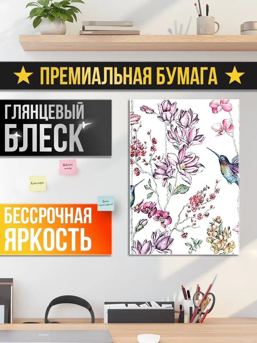 Постер на стену Колибри — фото 1
