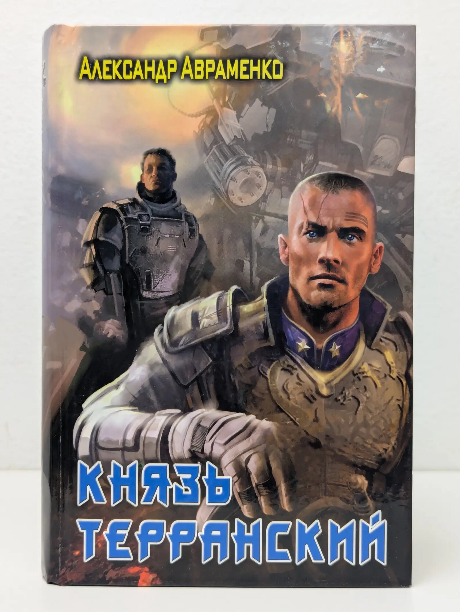 Князь Терранский Авраменко Александр Михайлович 2010