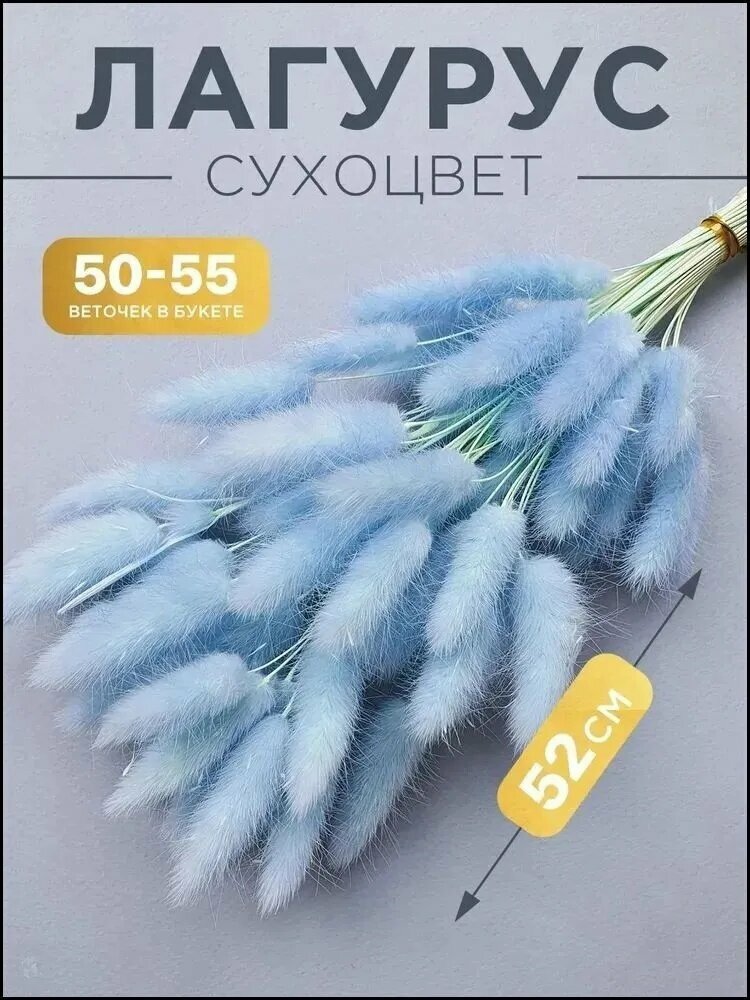 Сухоцветы Лагурус, 55 см, 40 гр, 55 шт