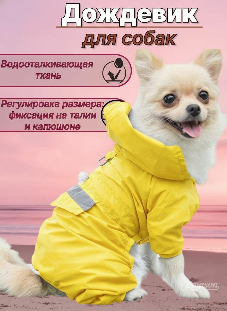 Качественный дождевик для маленьких собак, комбинезон