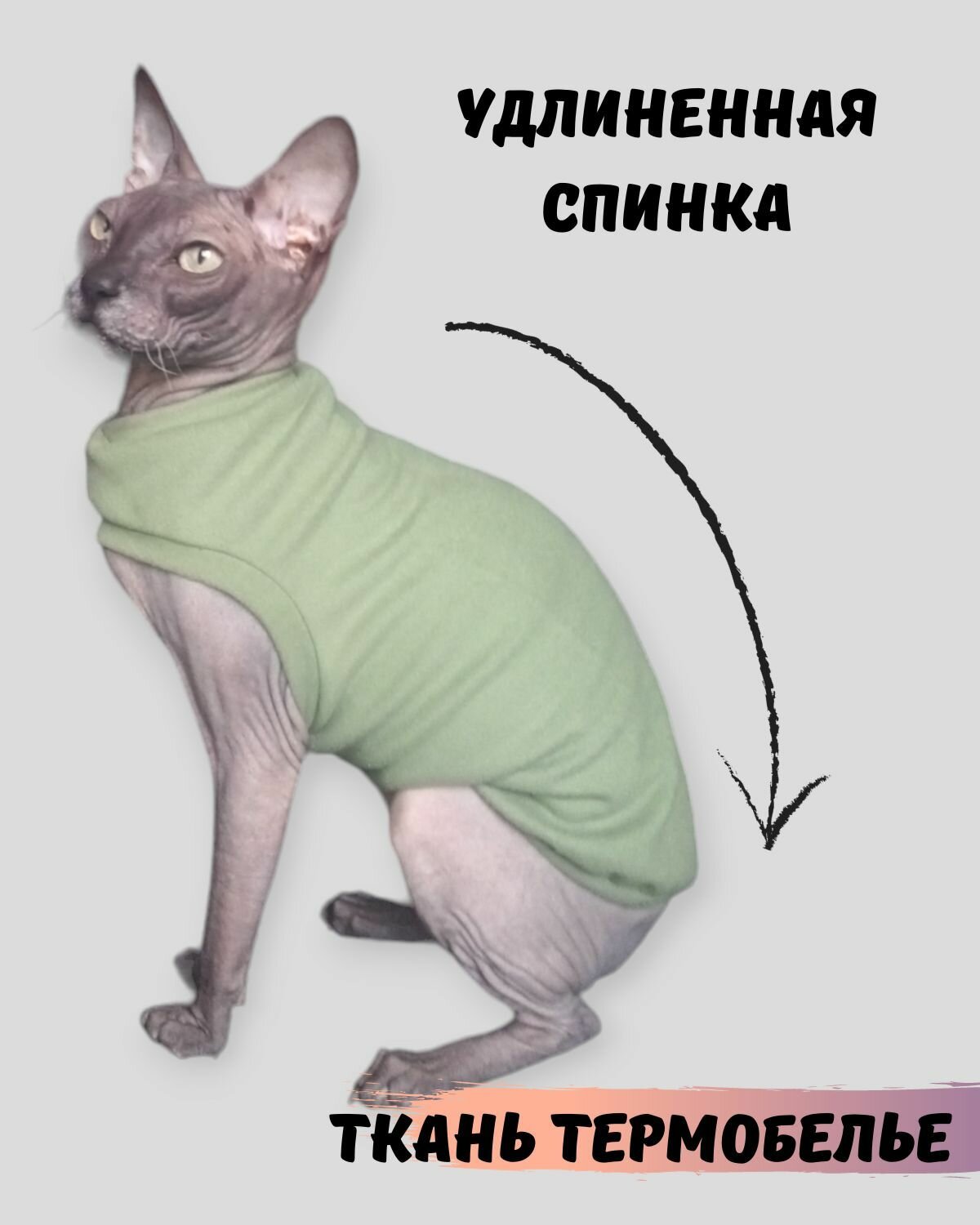 Одежда для животных — фото 1