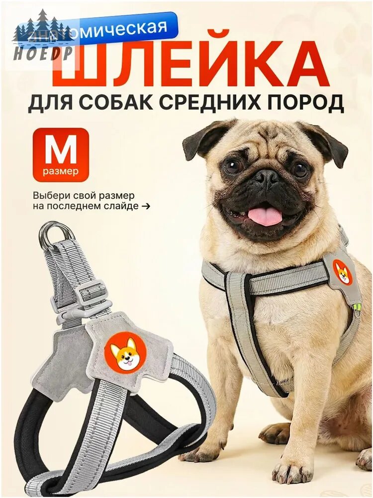 Эксклюзивная анатомическая шлейка для собак до 10 кг со светоотражателем, предназначенная для средних пород, используется на прогулках.