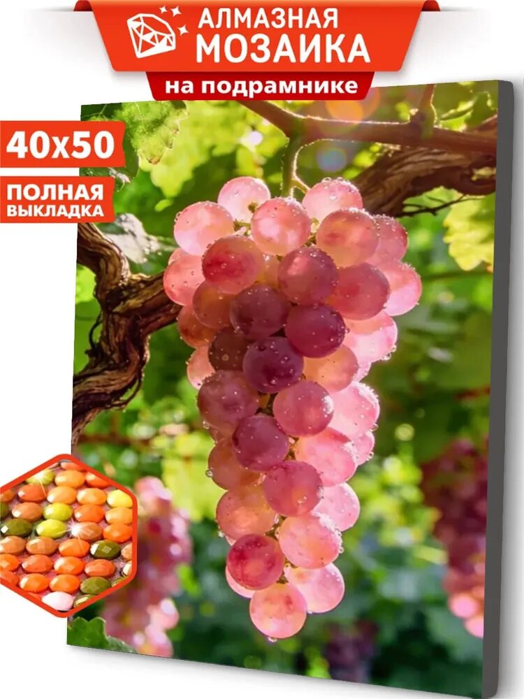 Алмазная мозаика на подрамнике/вкусный виноград/40х50 см
