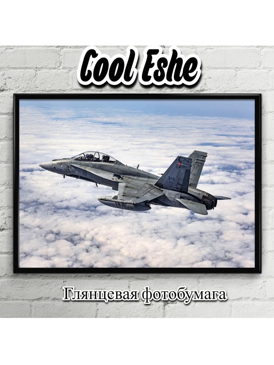 Плакат "Самолет Makdonnell Duglas - CF 18 hornet" А4