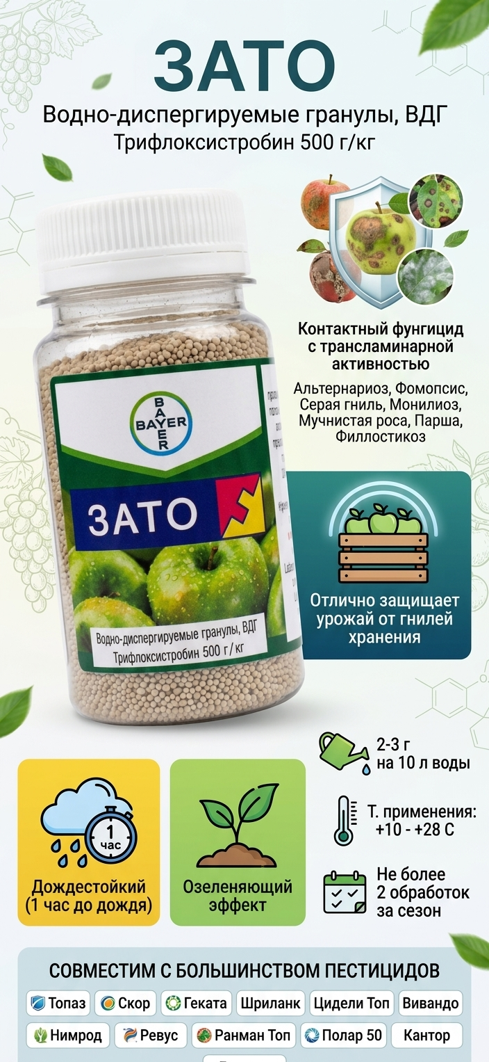 Фунгицид Зато 25 грамм Bayer, ВДГ, против мучнистой росы, серой гнили, монилиоза и др.
