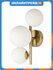 Бра Loft IT Tely 10236/3W