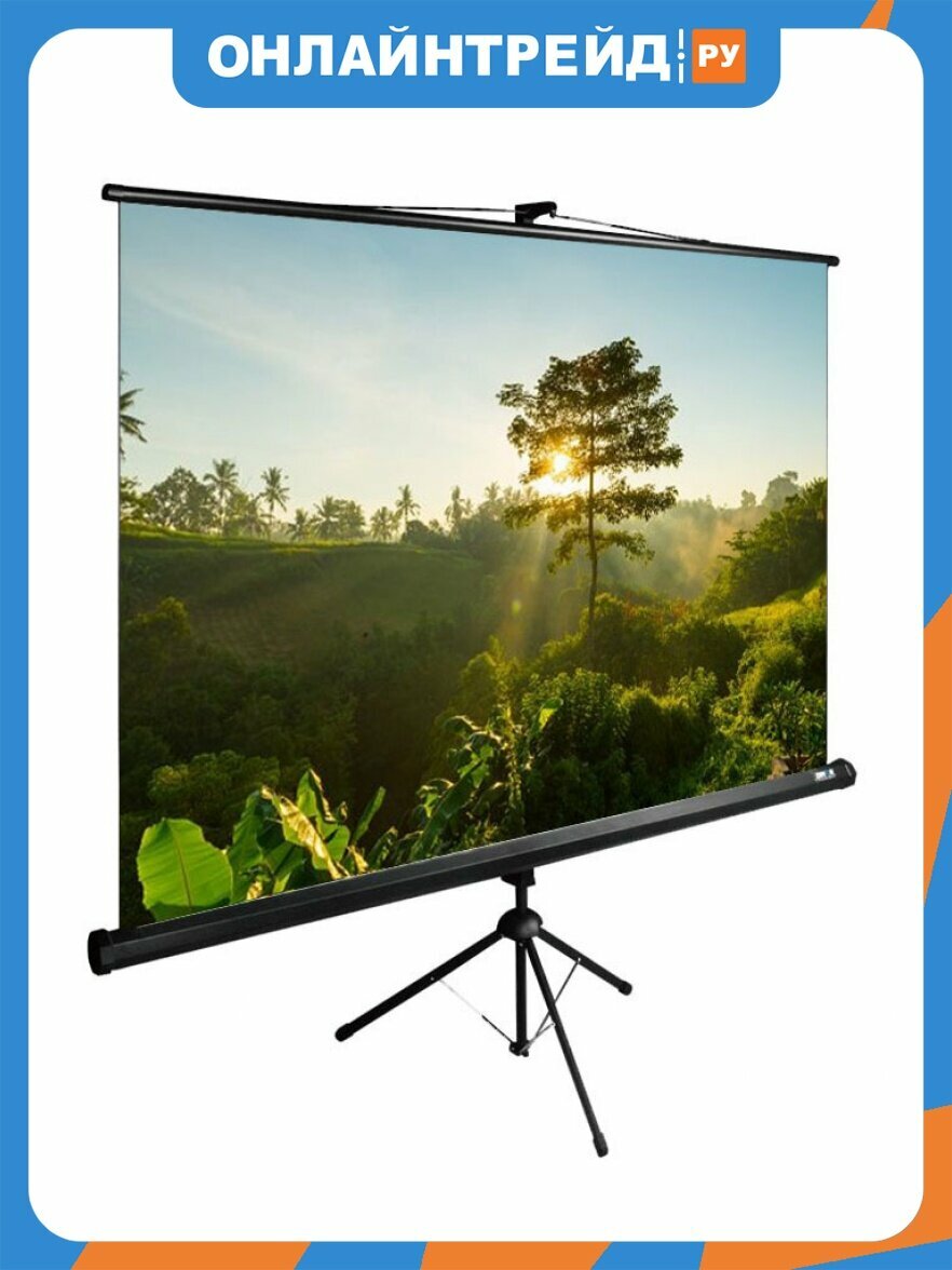 Экран Cactus 200x200см TriExpert CS-PSTE-200x200-BK 1:1 напольный рулонный черный