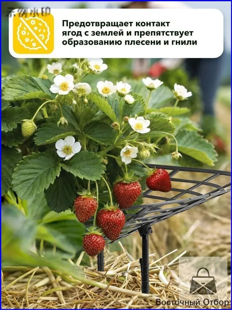 Шпалера,30см,100шт — фото 1