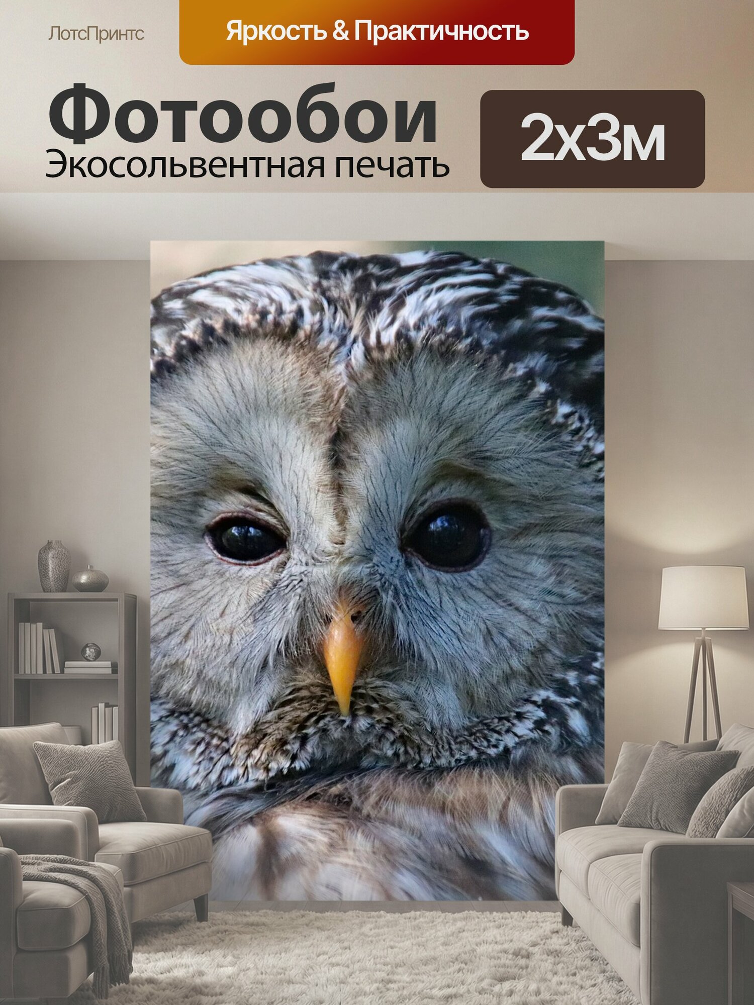 Фотообои "Сова, белесый, птица" 200x300 см. экосольвентная печать