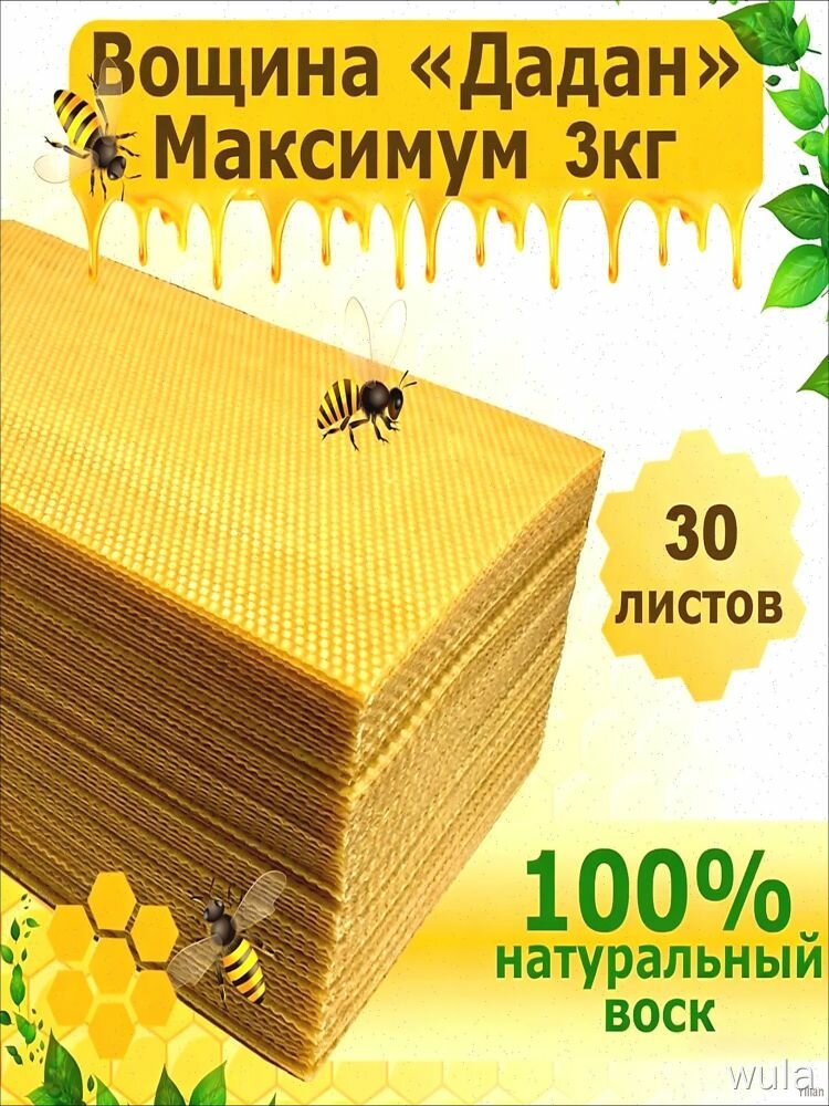 Вощина
