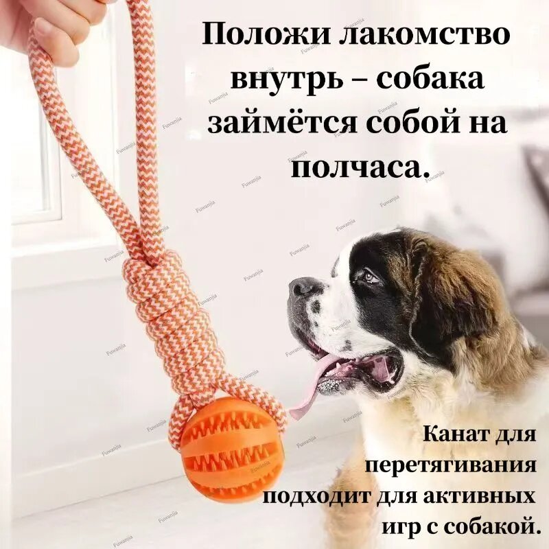 Интерактивная игрушка-головоломка: верёвка и мяч для лакомств, чистит зубы