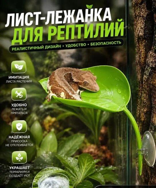 Укрытие для рептилий, фон для террариума, лежанка для эублефара, бананоеда, геккона / Декорация для террариума